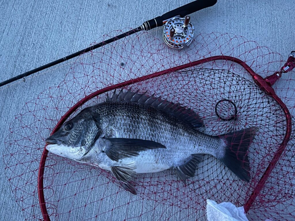 RYONI メタロイヤルチヌ 607倍速 3個目購入してヘチ落とし込み仕様に改造しました。 - Dorayaki-papa 貧乏ガレージハウスⅡ